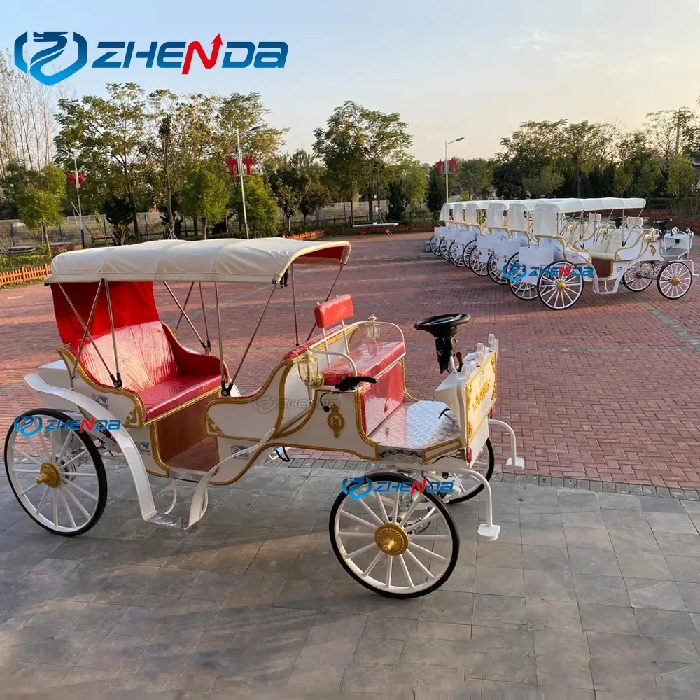 Elegant Princess Electric Cinderella Carriage/electric Horseless ...