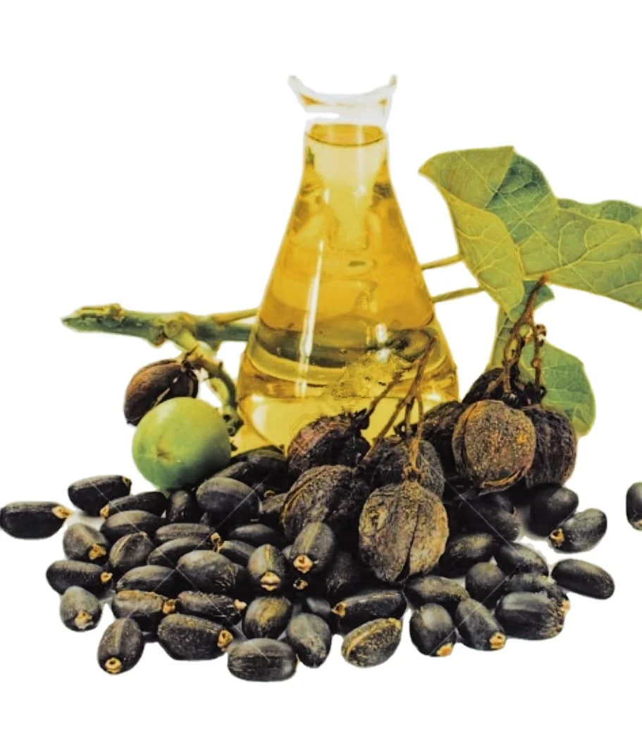 Premium Refined Jatropha Seed Oil - Buy Jatropha Seed Oil Product on ...
