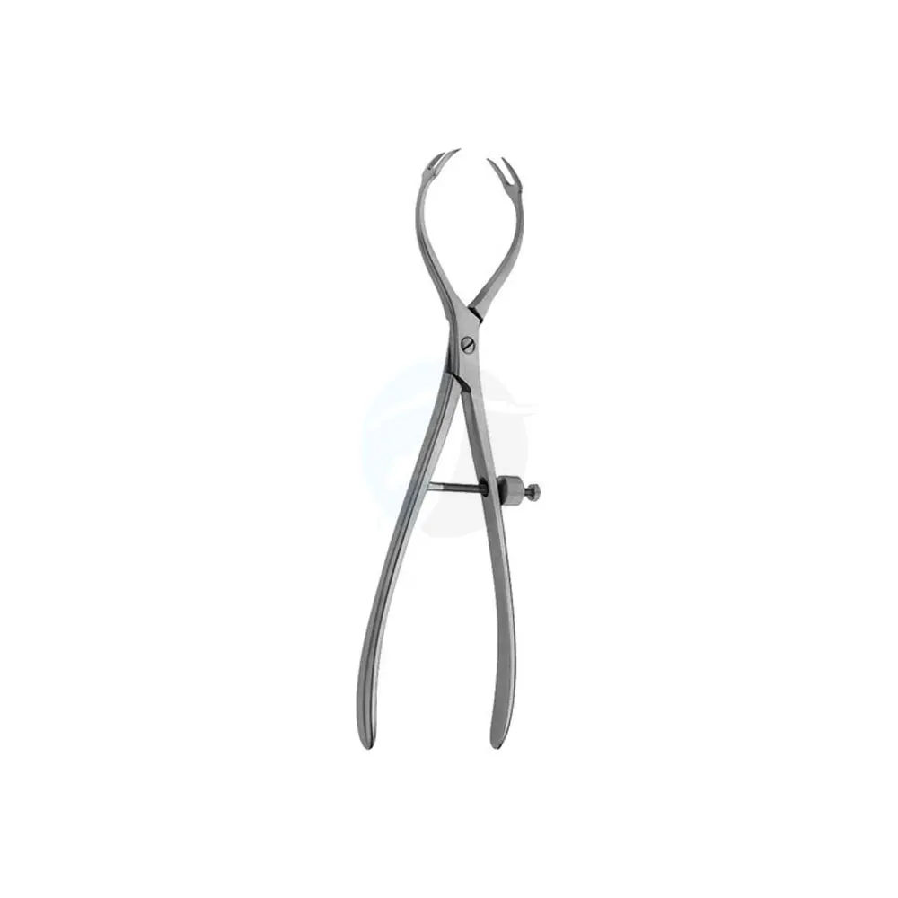 New 2024 Surgical Bone Holding Forceps Orthopedic Medical Pointed ...