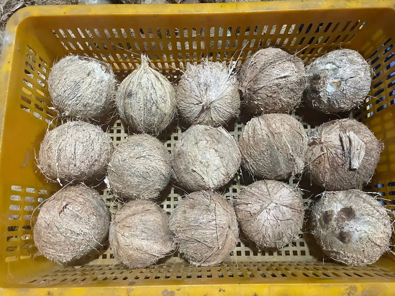 This product is no longer available.