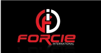 Company Overview - FORCIE IMPEX