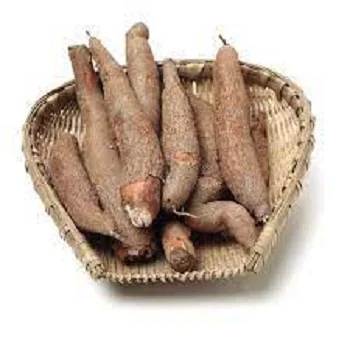 New Arrival 2023 High Quality Factory Price Fresh Sliced Cassava Ready ...