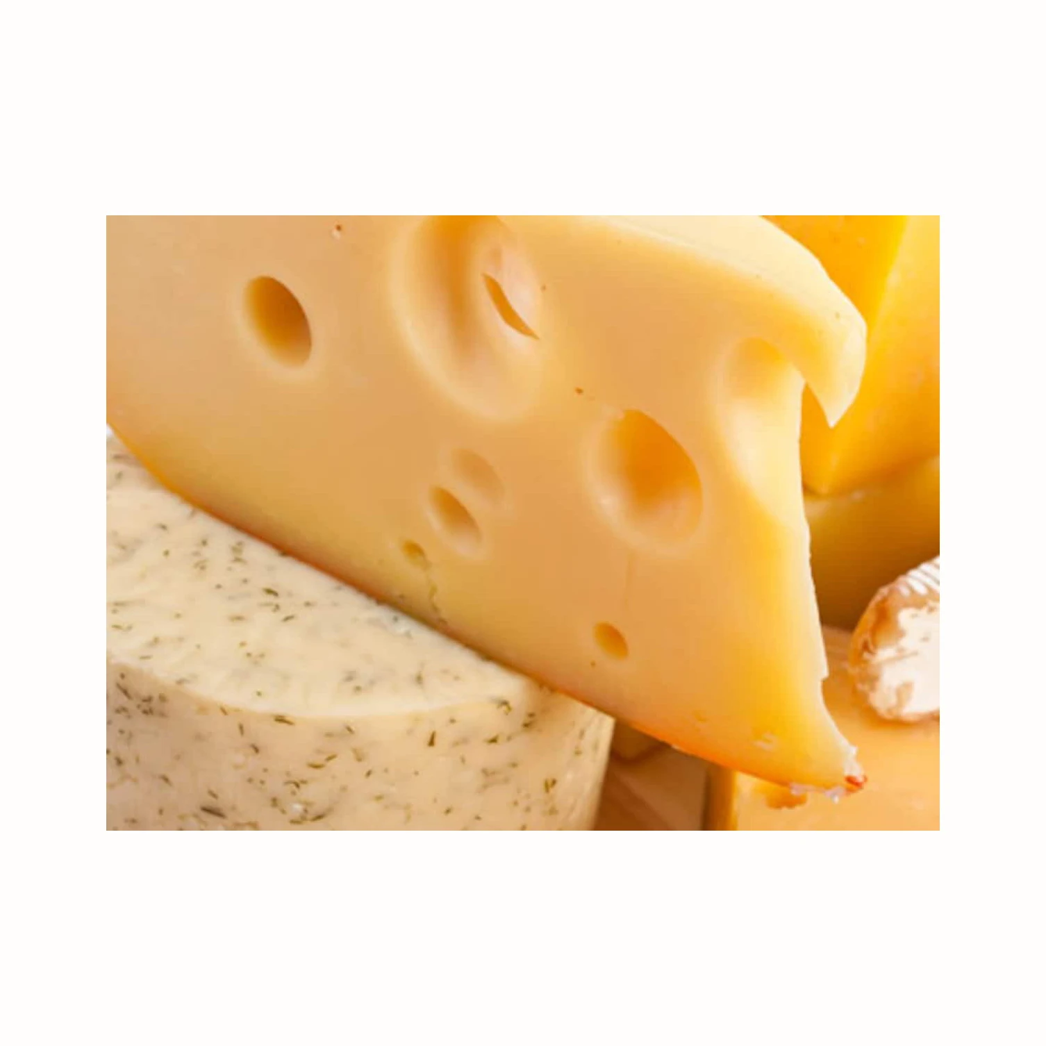 Hot Sale Halloumi Cheese,Fresh Cheese,Halloumi Cheese On Sales Now ...