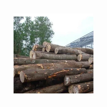 Top Grade Timber Wood Logs Bulk Quality Dry Round Teak Logs Durable ...
