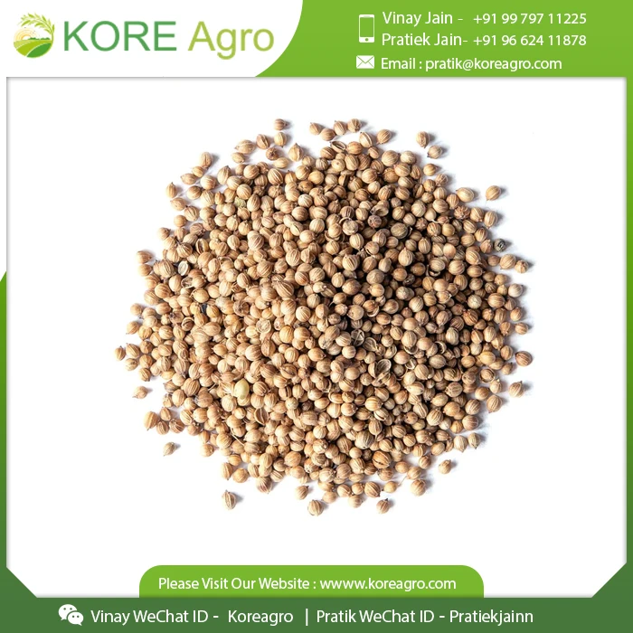 Natural Spice Coriander Cilantro Seeds Best Natura Single Spices ...