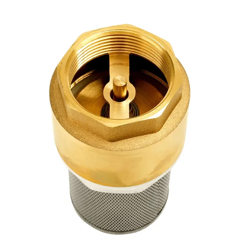 NPT Brass Water Vertical Spring Loaded Ball Lift Check Valve spring ...