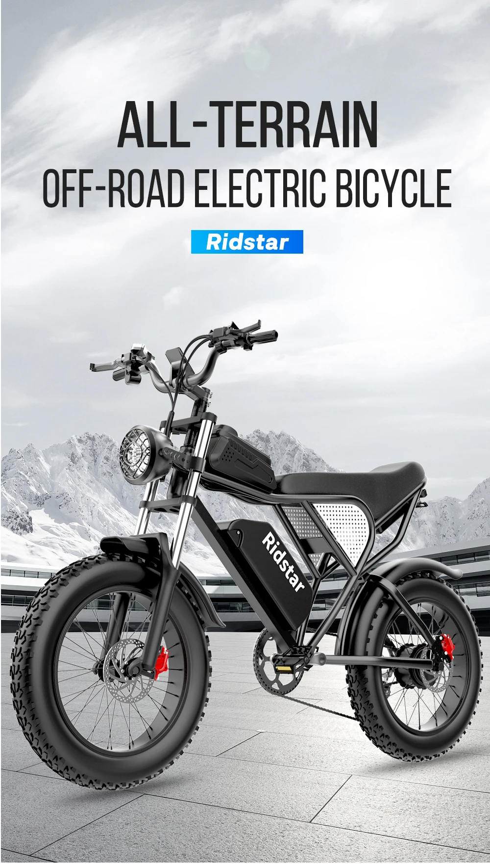 Electric bicycle Ridstar Q20, 1000W, 48V, 20AH, 20×4.0 Fat tires - RIDSTAR electric bikes ...