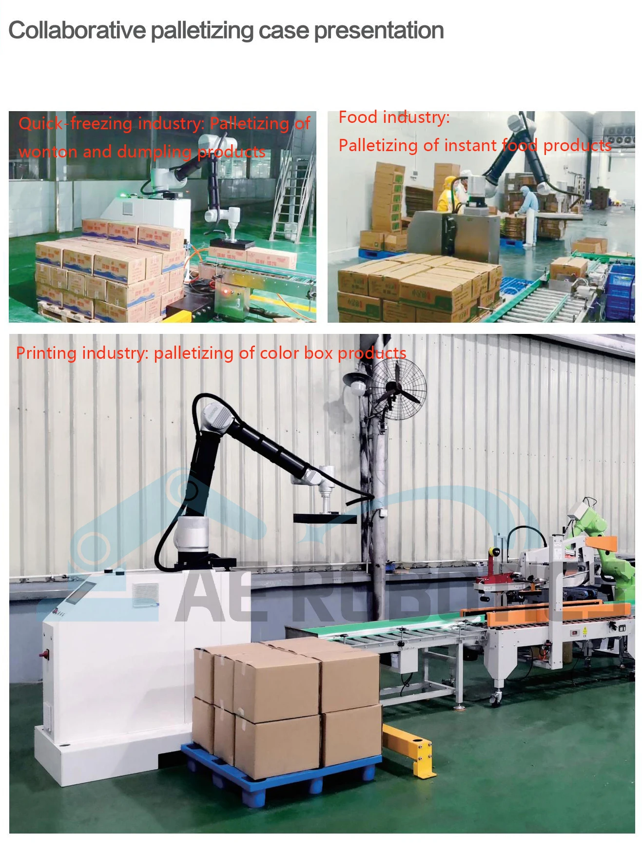 AE20 Collaborative Palletizing Cobot - Large-Load Capabilities