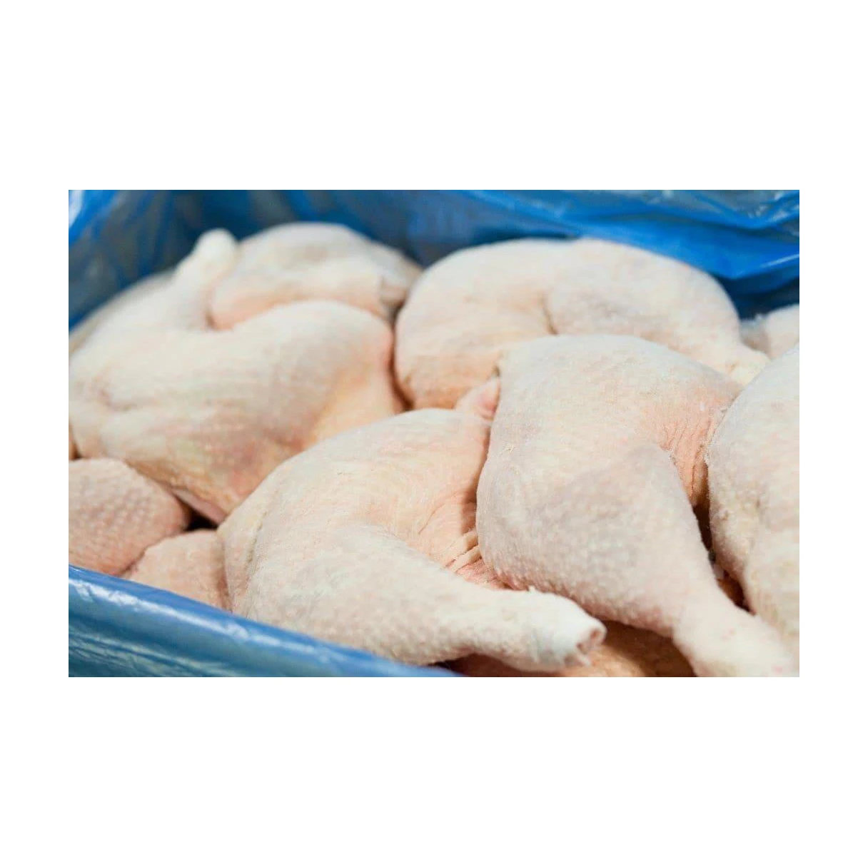 Halal Frozen Chicken Paws,Chicken Wings,Chicken Leg Quarters - Buy ...