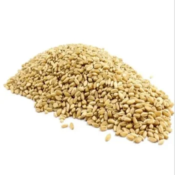 Customized White Provided Farm Machine Sesame Wheat Grain Wheat Grain ...