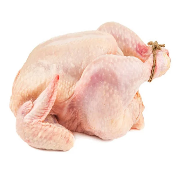 Halal Frozen Chicken Breast And Whole Frozen Chicken Box Style ...