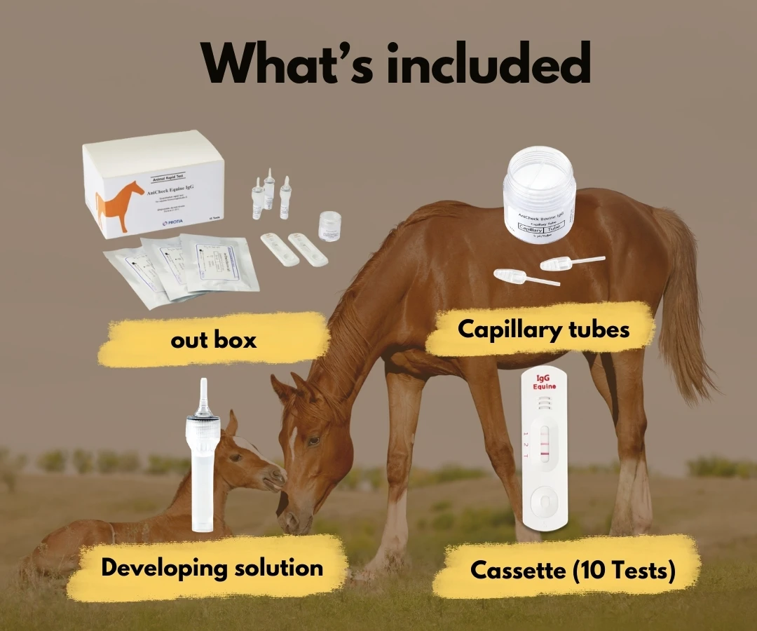 Horse Foal Equine Rapid Kit for Immunoglobulin G (IgG) Colostrum and ...