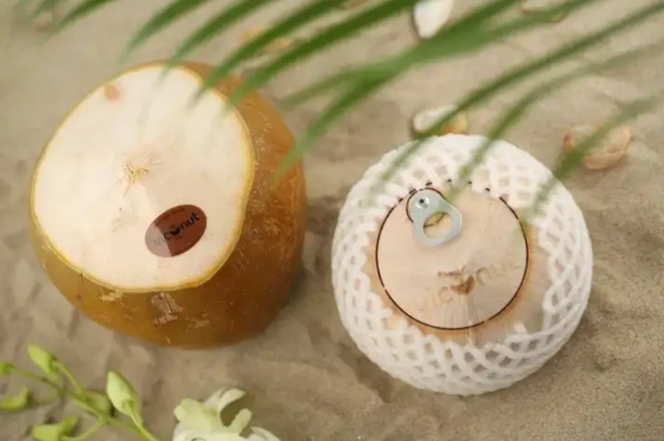 Fresh Young Coconut From Vietnam Coconut for Drinking Selected Grade of ...