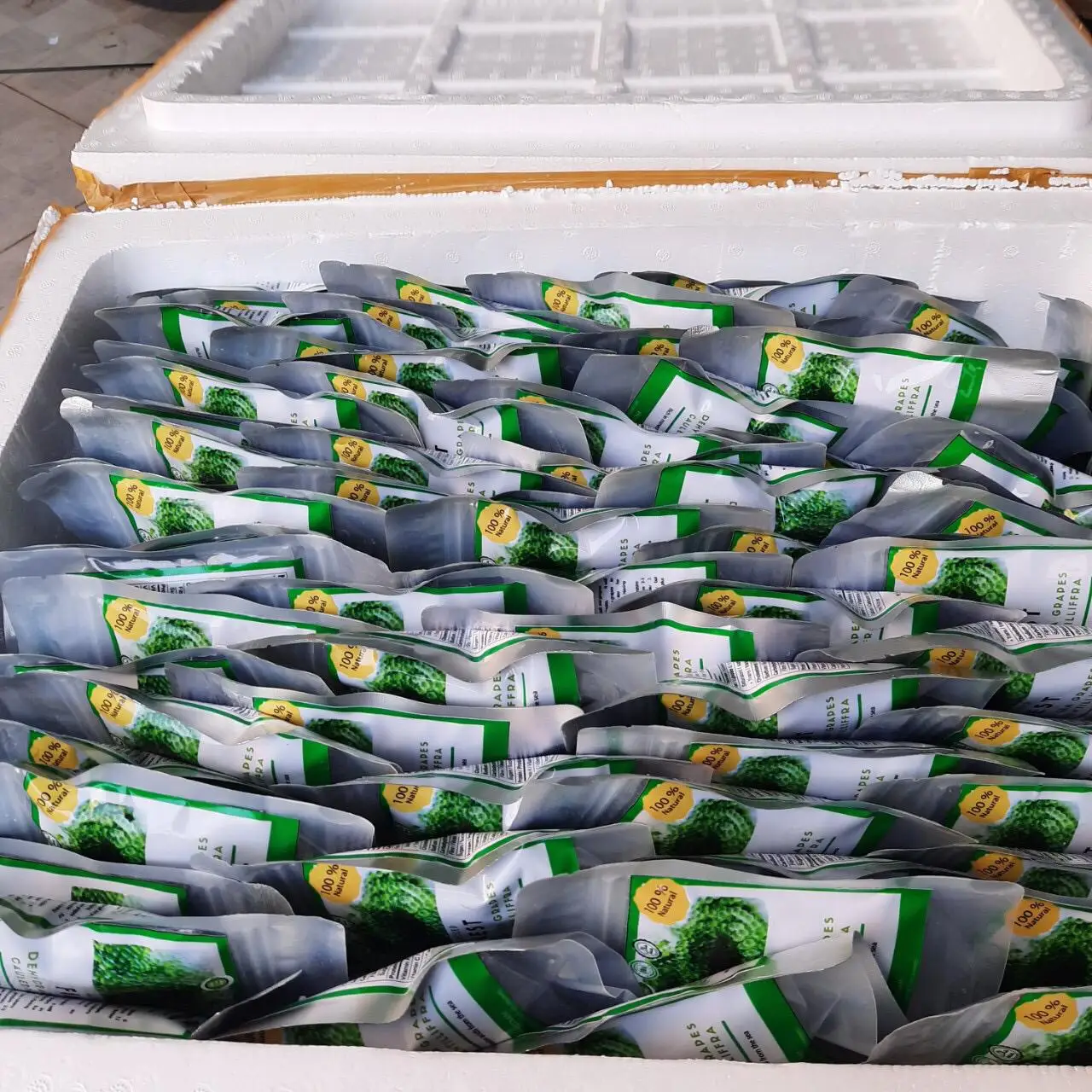 High Quality Gracilaria Seaweed Gracilaria Chilensis Producing Agar ...