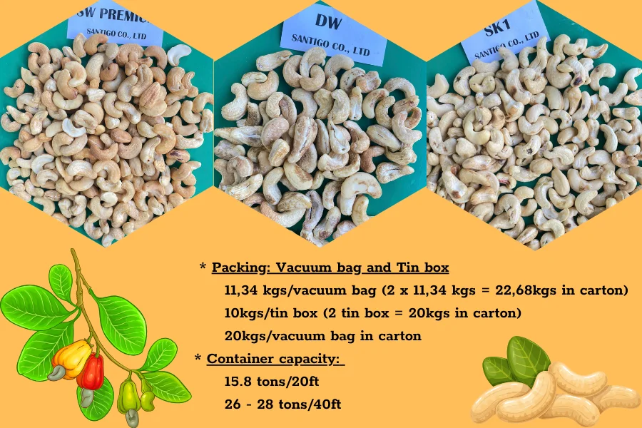 Cheap Bulk Ready to Ship Vietnam Cashew Nuts W320 Raw Cashew Nuts ...