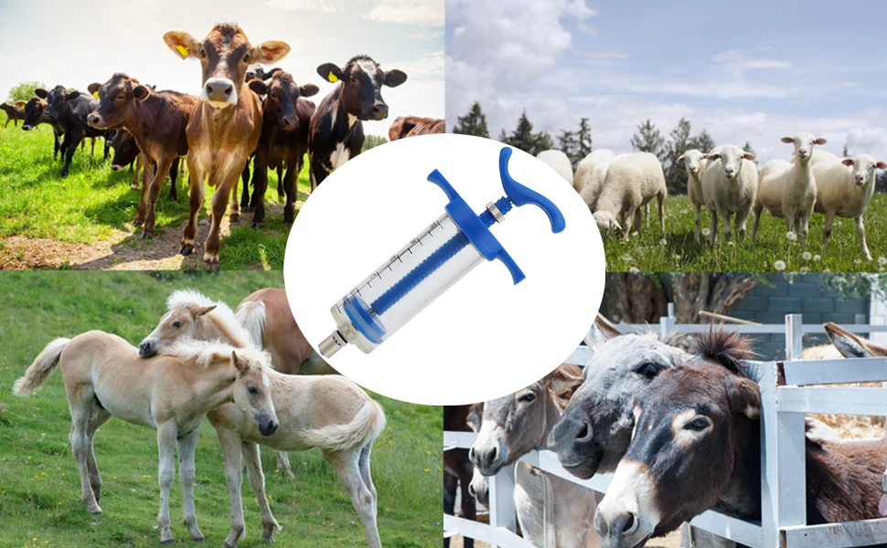 50ml Adjustable Dosage Goat Drench Syringe with 3 Drench Nozzle ...