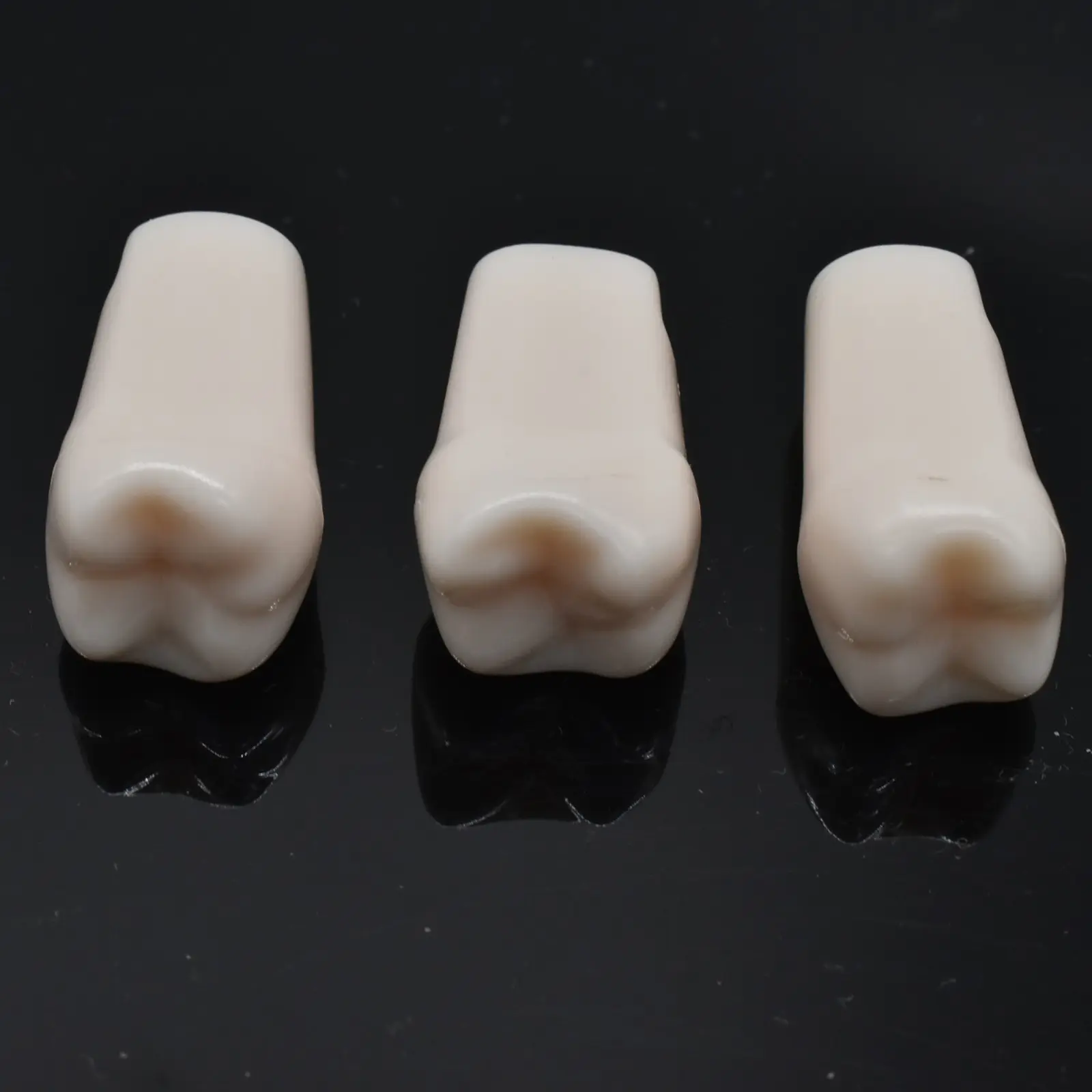 Dental Resin Teeth Typodont Model 28pcs Removable Tooth For Practice ...