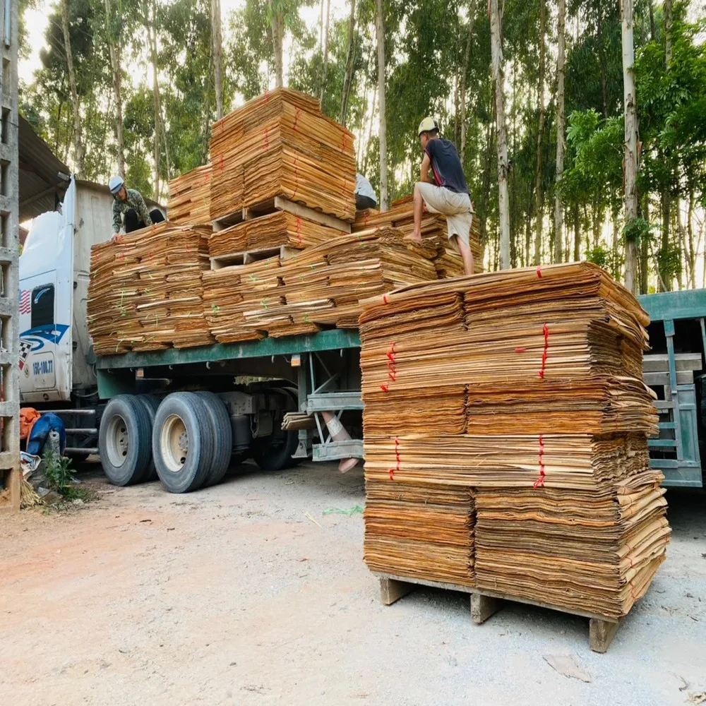 Eucalyptus/ Acacia/ Rubber Wood Core Veneer 2023 Vietnam - Natural Sliced Wood Veneer Export ...