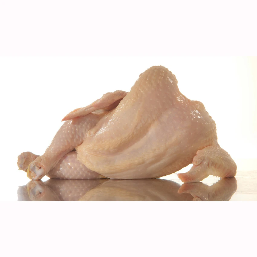 Halal Whole Frozen Chicken/ Best World Market Price / Poultry Products ...