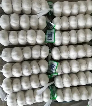 Fresh Garlic 10kg /20kg/1kg Mesh Bag Ajo Loosely Garlic For Sale - Buy ...