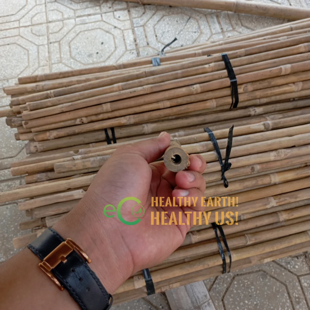Natural Bamboo Poles Cane Strips Slats Stakes High Quality Eco2go ...