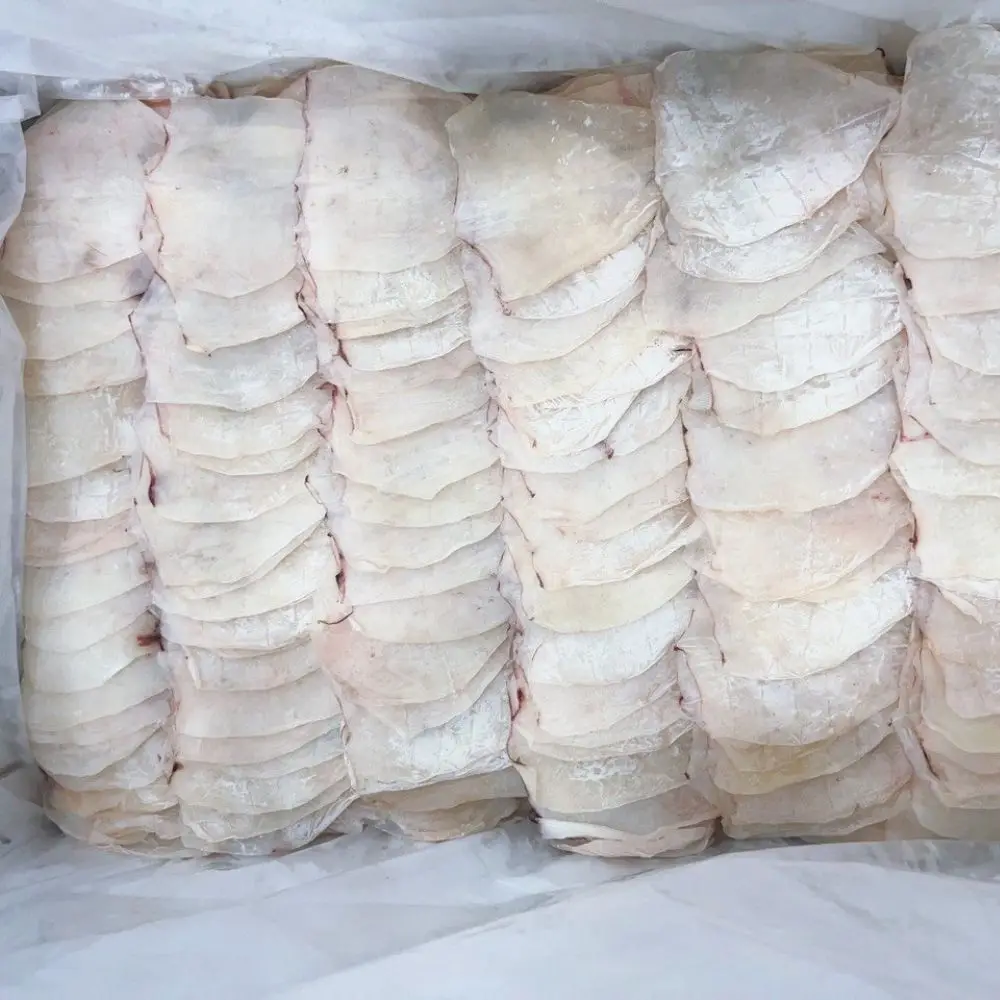 Dried Cuttlefish Frozen Dry Squid From Vietnam Ready To Ship From ...