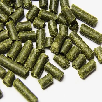 Double Compressed Premium Alfalfa Hay - Best Quality Alfalfa Hay For ...