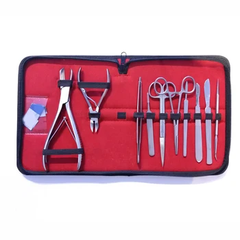 Basic Coral Frag Kit Set Dissecting Fragging Propagation Reef Hard Soft ...