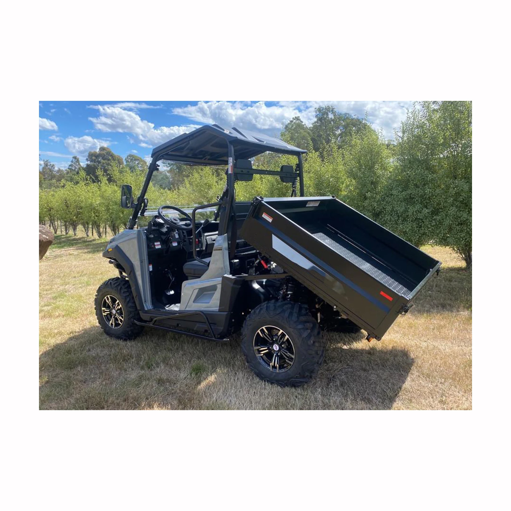 Powerful 150cc 250cc Gasoline Utv 4 Wheeler Quad Bike - Buy 250cc Cheap ...