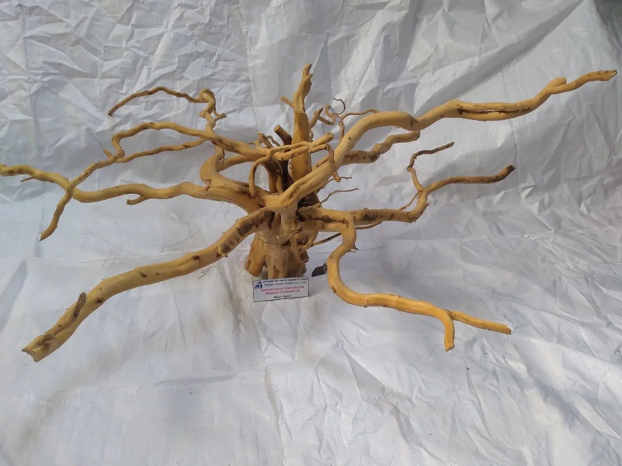 Hot Item 2024 Do Quyen Natural Driftwood Aquarium Tree Driftwood Root ...