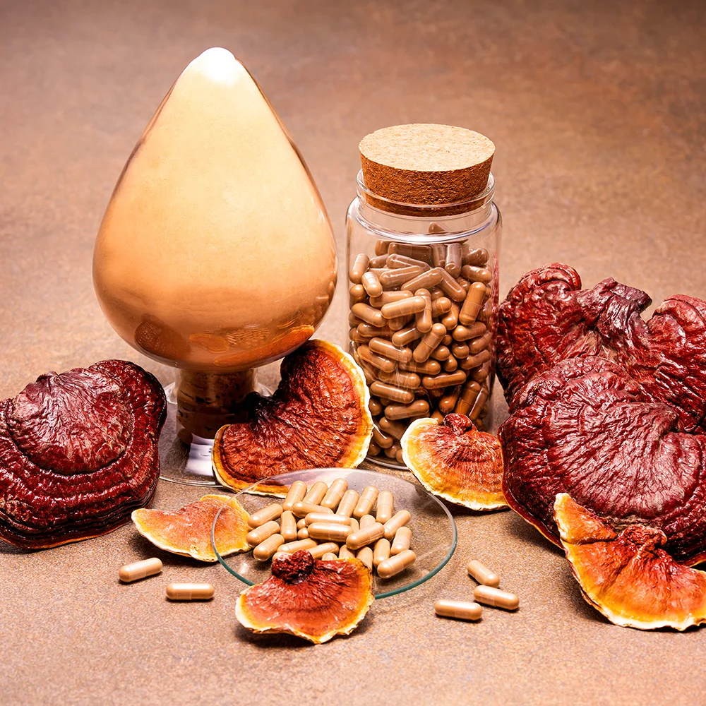 Premium Quality Antrodia Camphorata Extract With 1.5% Triterpenoids And 10% Polysaccharides ...