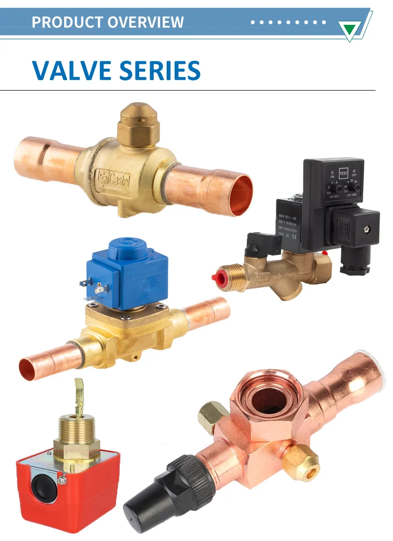 Maneurope Copper-plated Globe Valve Pev02 1-1/8 Compressor Valve For ...