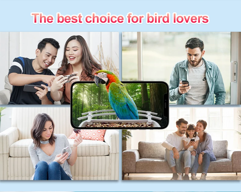 Wholesale Factory AI Intelligent Automatic Bird House and Feeder with ...