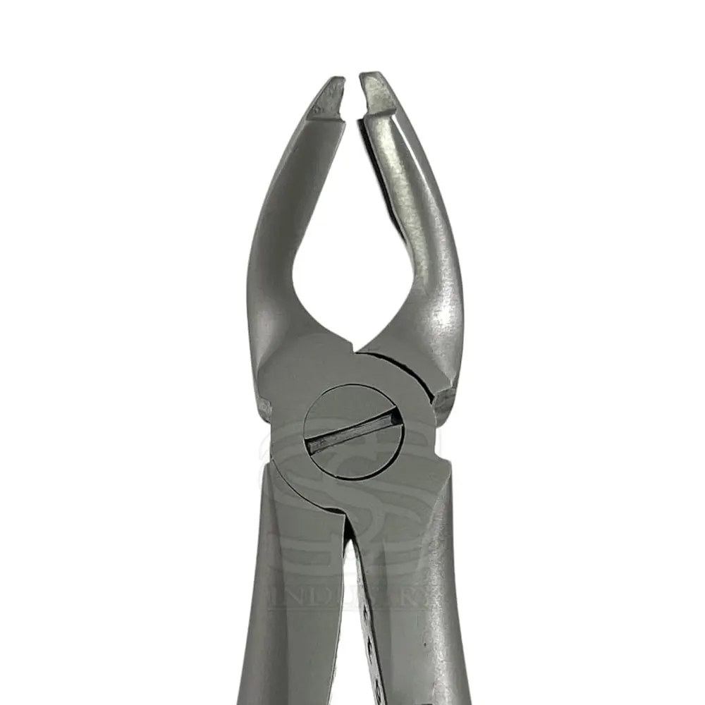 Light Weight Extraction Forceps Low Moq Extraction Forceps High Quality ...