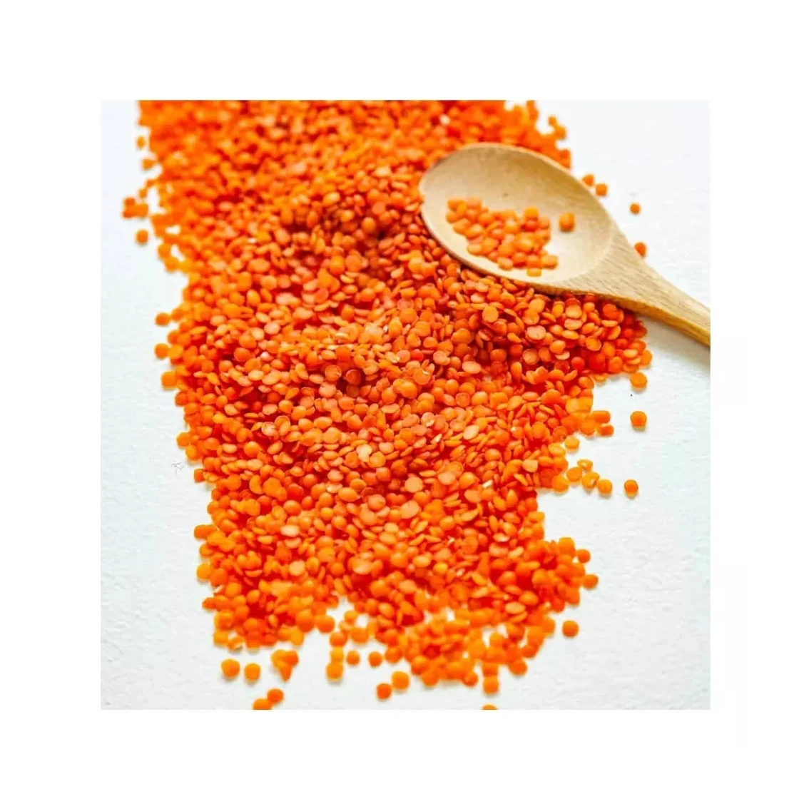 High Quality Organic Canadian Red Lentils for Sale