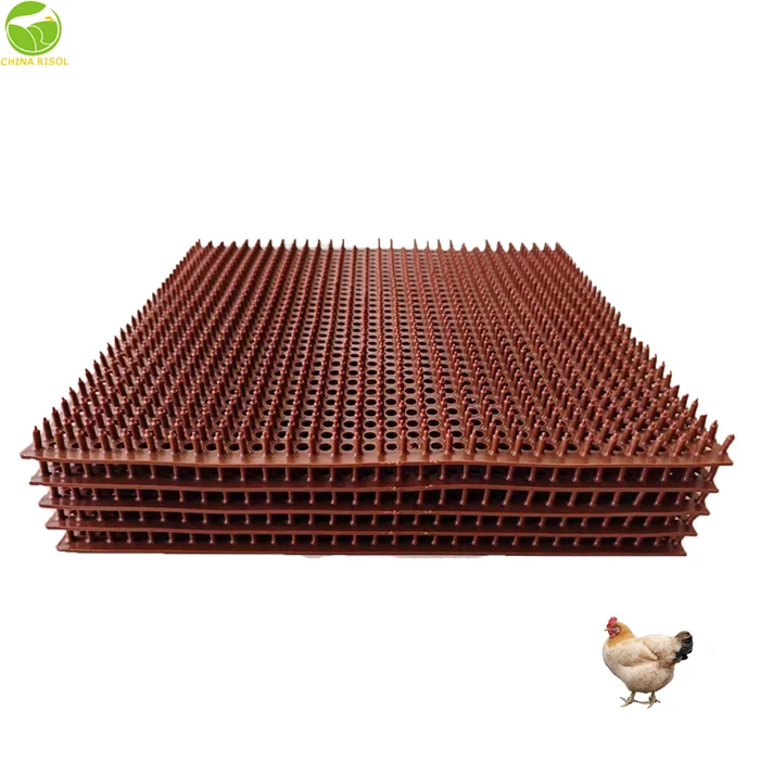 Plastic Black Clean Bird Chicken Coop Supplier Pigeon Egg Washable Nest ...
