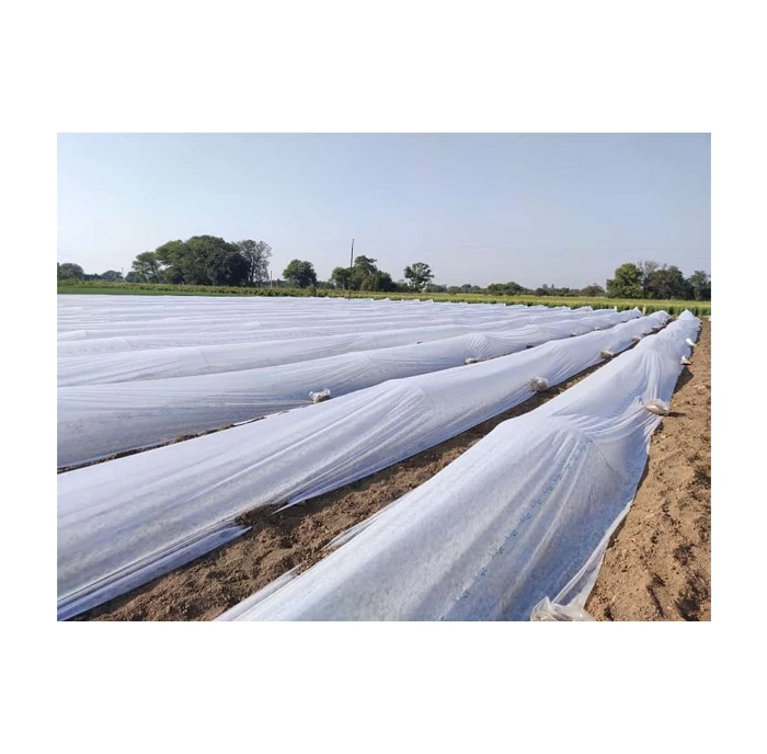 Best Selling 17-50gsm Light Weight Crop Cover Floating Row Cover Plant ...