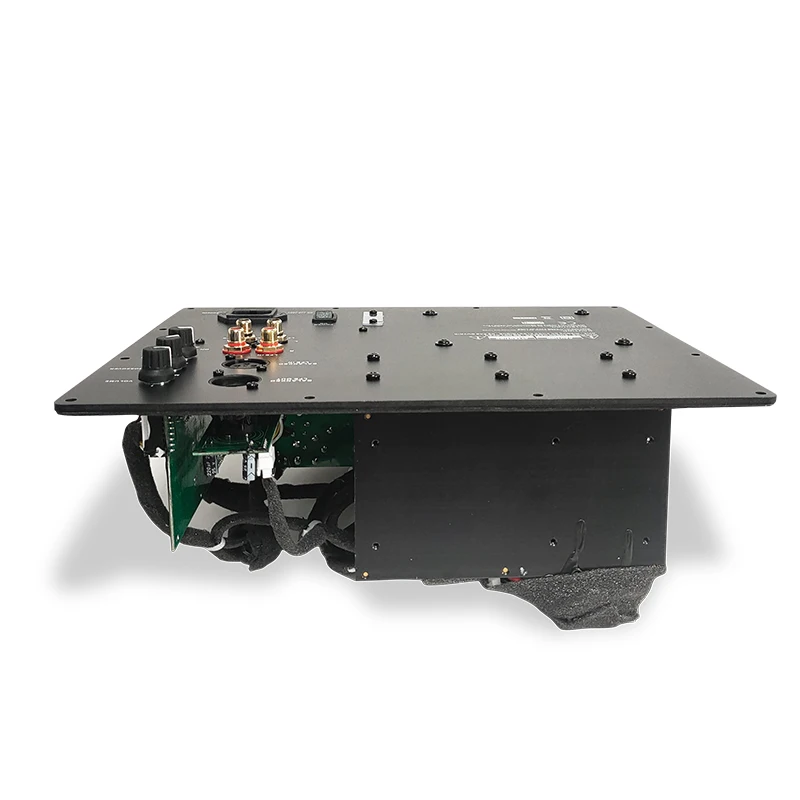 Class D Subwoofer Plate Amplifier rear connections