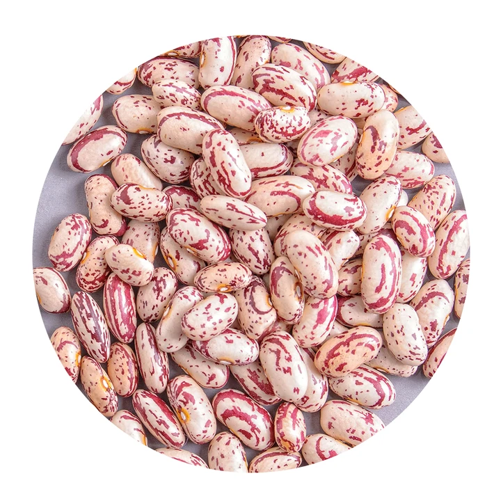 Gmo Kidney Beans跨境商机分析报告行业外贸出口趋势-阿里巴巴国际中文站官网