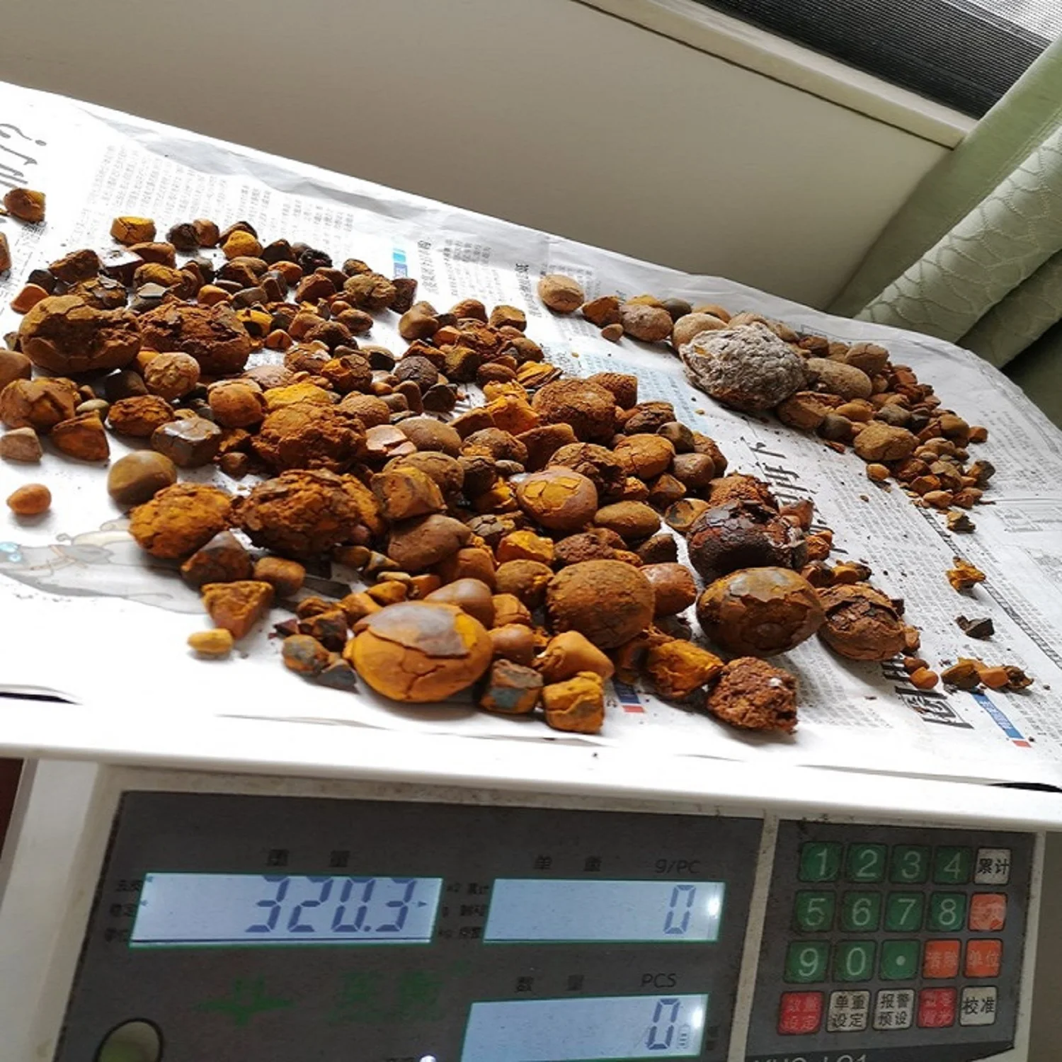 Cow Ox Gallstones | Cattle Gallstones | Ox Gallstones - Buy Wholesale ...