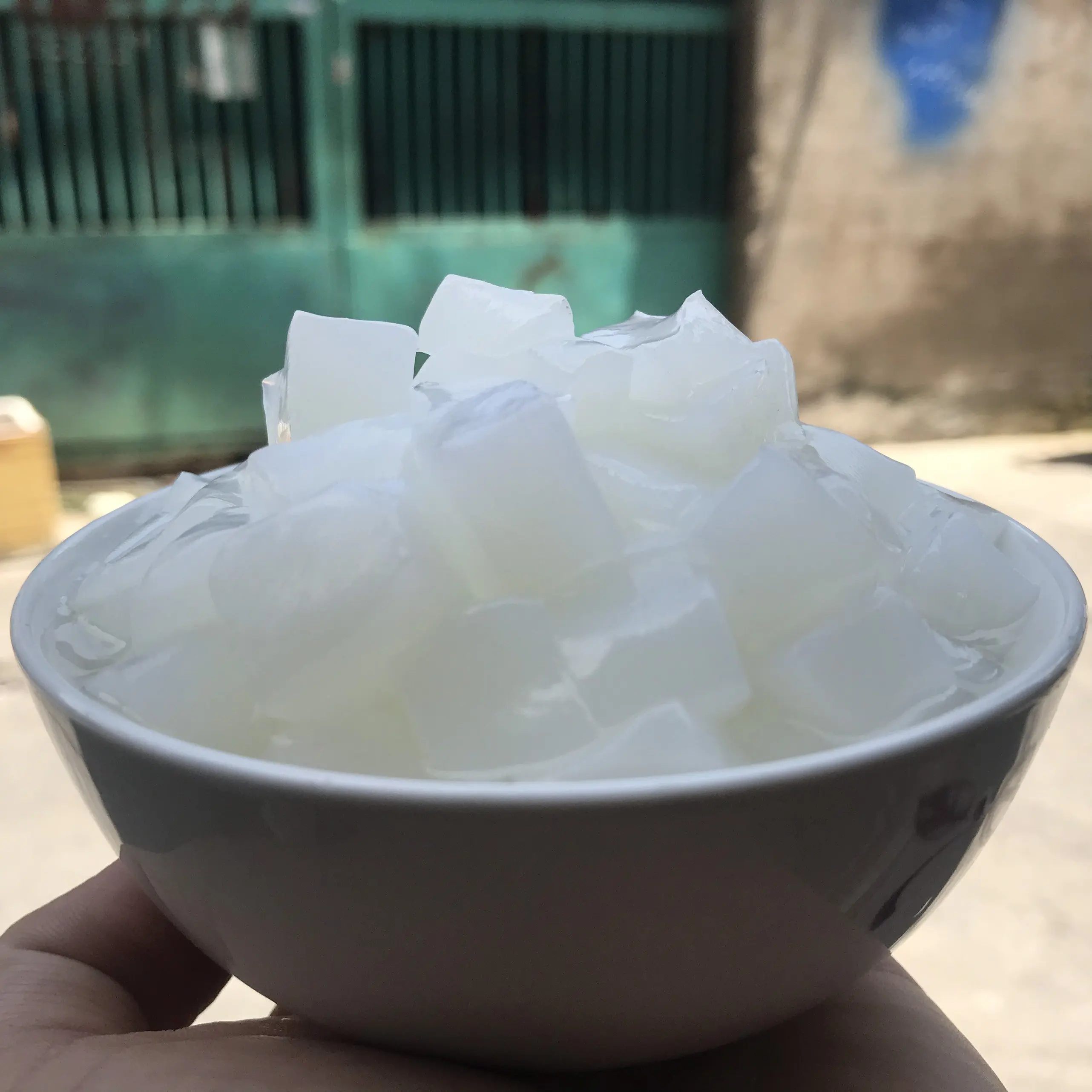 Raw Nata De Coco / Dried Nata De Coco/ Nata De Coco Whole Sheet - Buy ...