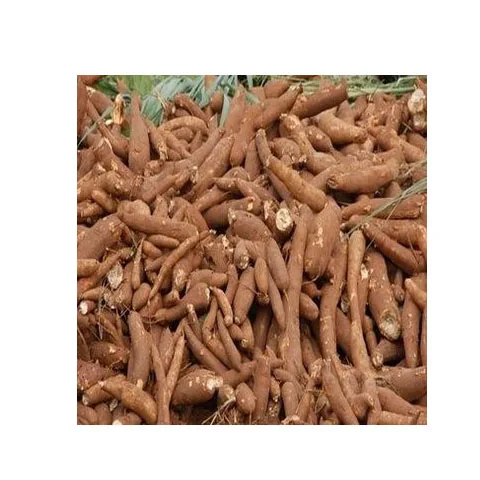 Fresh Cassava Best Quality ( Manioc/ Tapioca / Yuca / Macaxeira ...