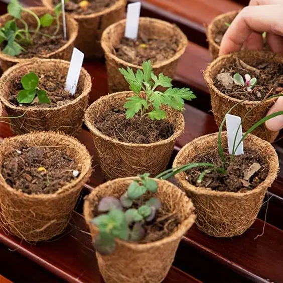 Biodegradable Natural Coconut Fiber Pot Made in Vietnam - Eco2go ...