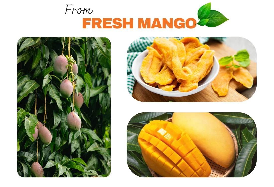 Sugar Free Soft Dried Mango Slices Cube Diced 100% Fresh Organic For ...