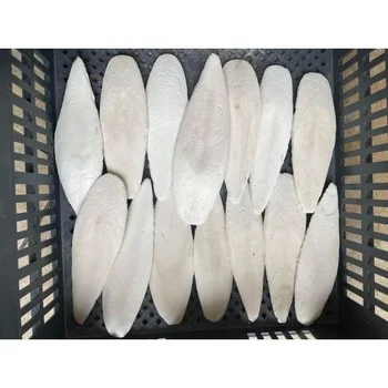 Halal Dried Cuttle Fish Bone Available - Buy Cuttlefish Bones Sea Foods ...