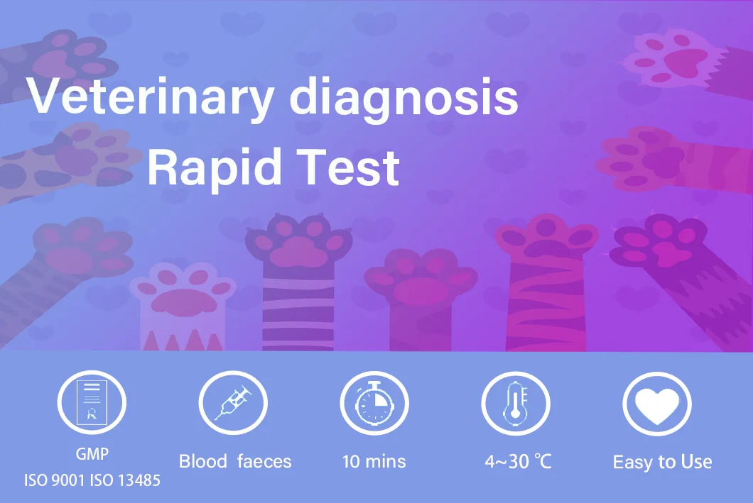 Testsealabs Rabies Ab Rapid Test Kit For Dog - Buy Rabies Ab Test ...