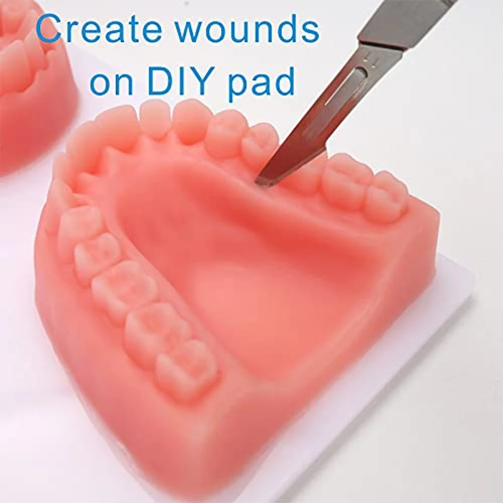 Dental Suture Practice Kit - High Quality Training Tools