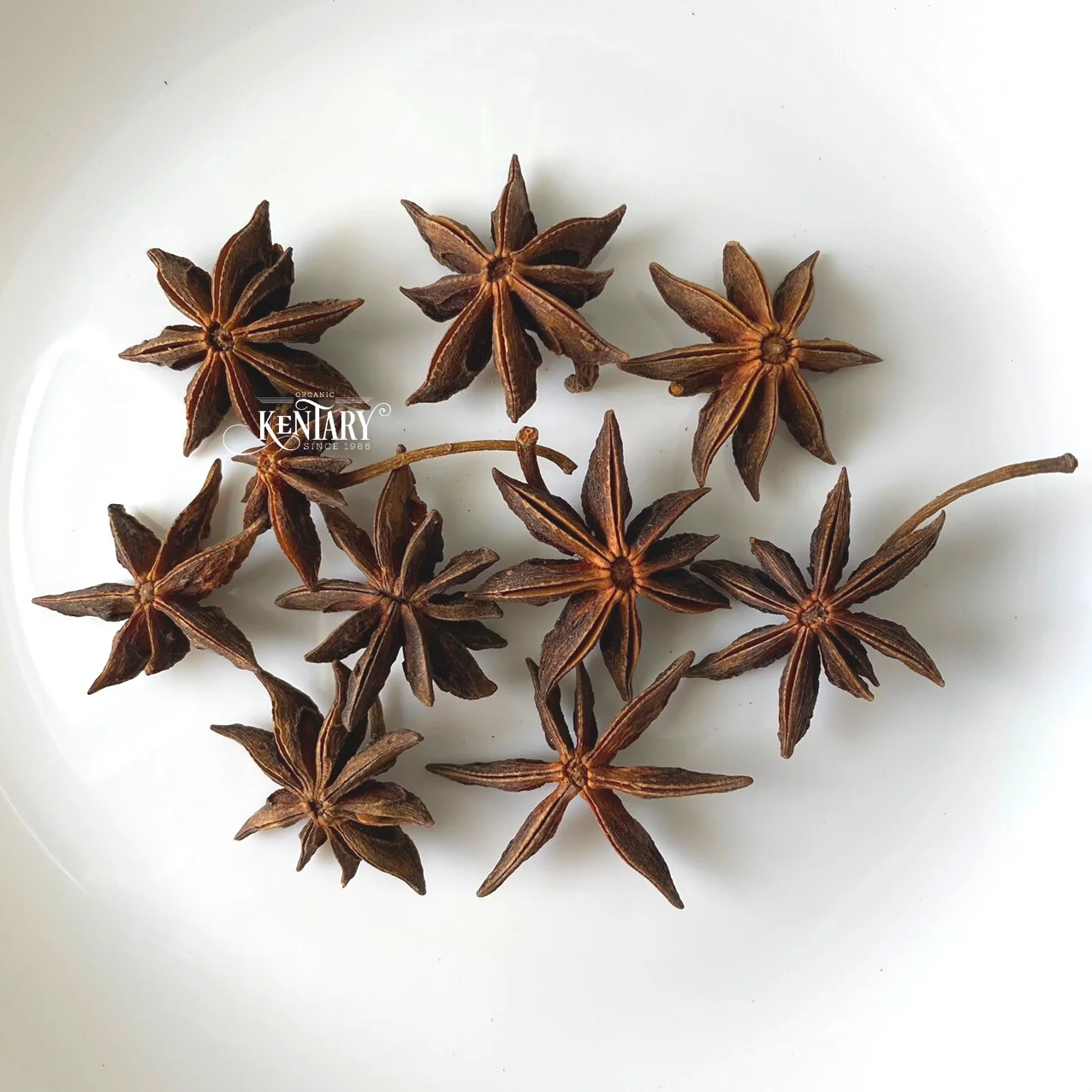 Large Quantities of Spring Star Anise - Explosive Flavor