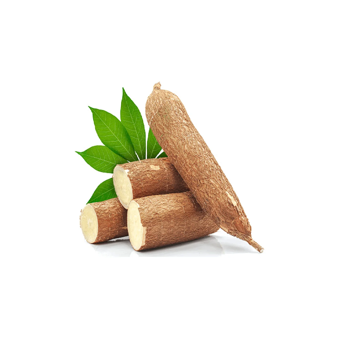 Fresh Cassava Roots - High Quality Wholesale Price