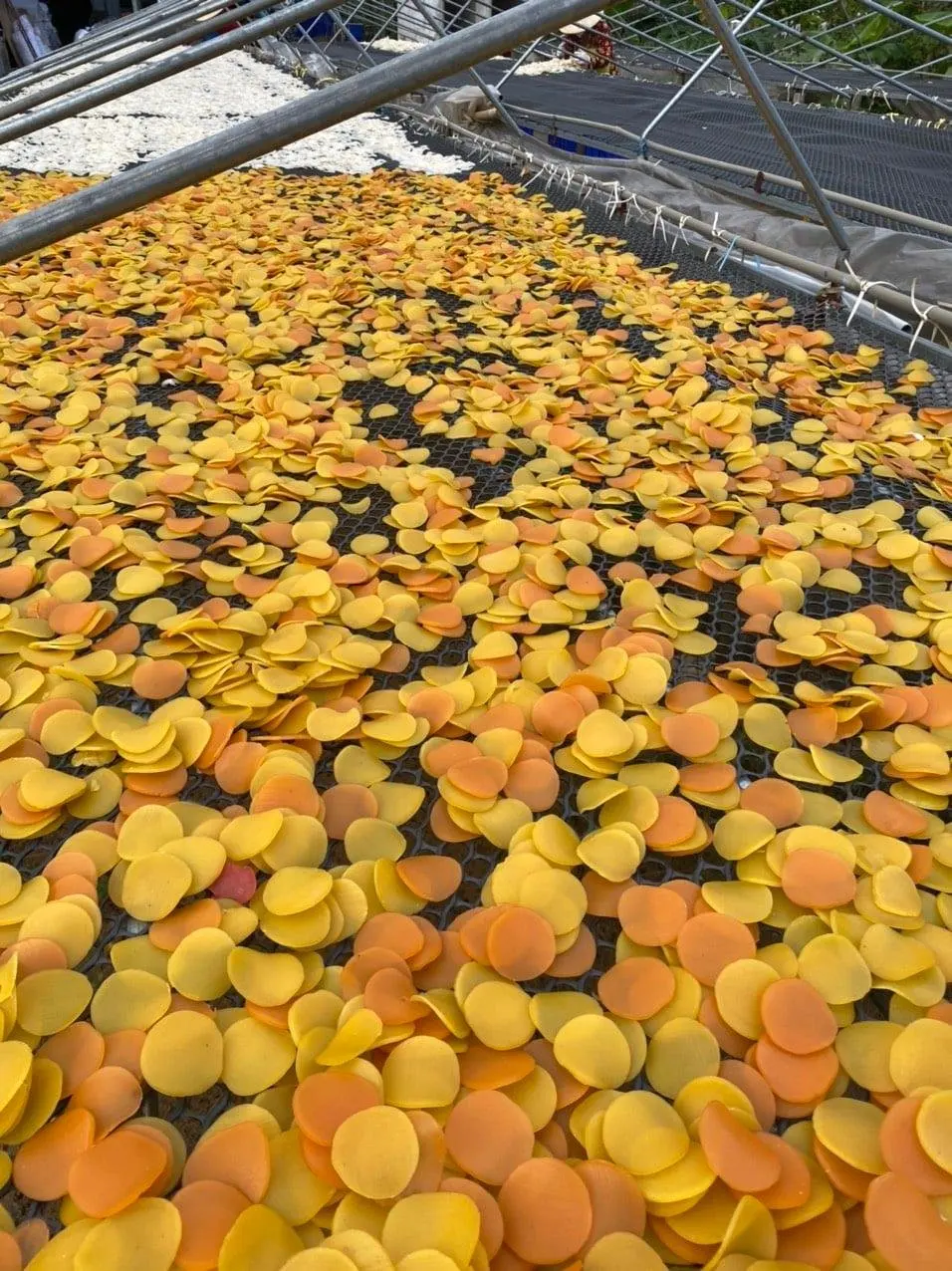 Hot Hot 2024 Shrimp Crackers From Vietnam With High Quality And Best Price / Ms.thi +84 988 872 ...